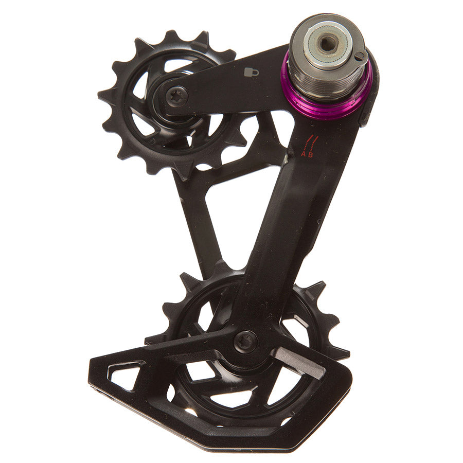 SRAM GX Eagle T-Type AXS Rear Derailleur Cage Assembly Kit - Full Repl ...